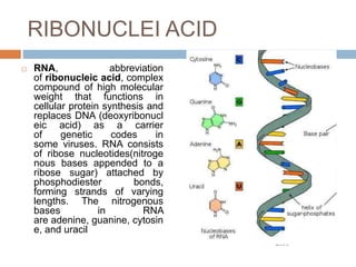 Nuclei acid | PPTX
