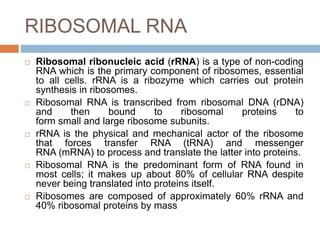 Nuclei acid | PPTX
