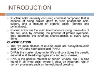 Nuclei acid | PPTX