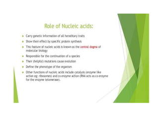 Nuclei acid | PPTX