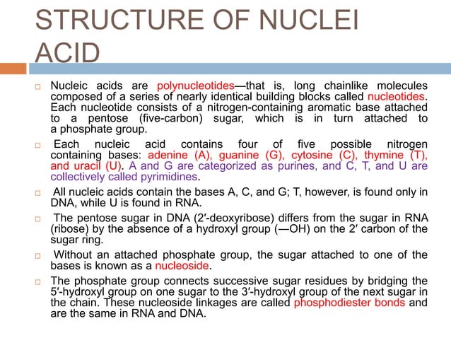 Nuclei acid | PPT