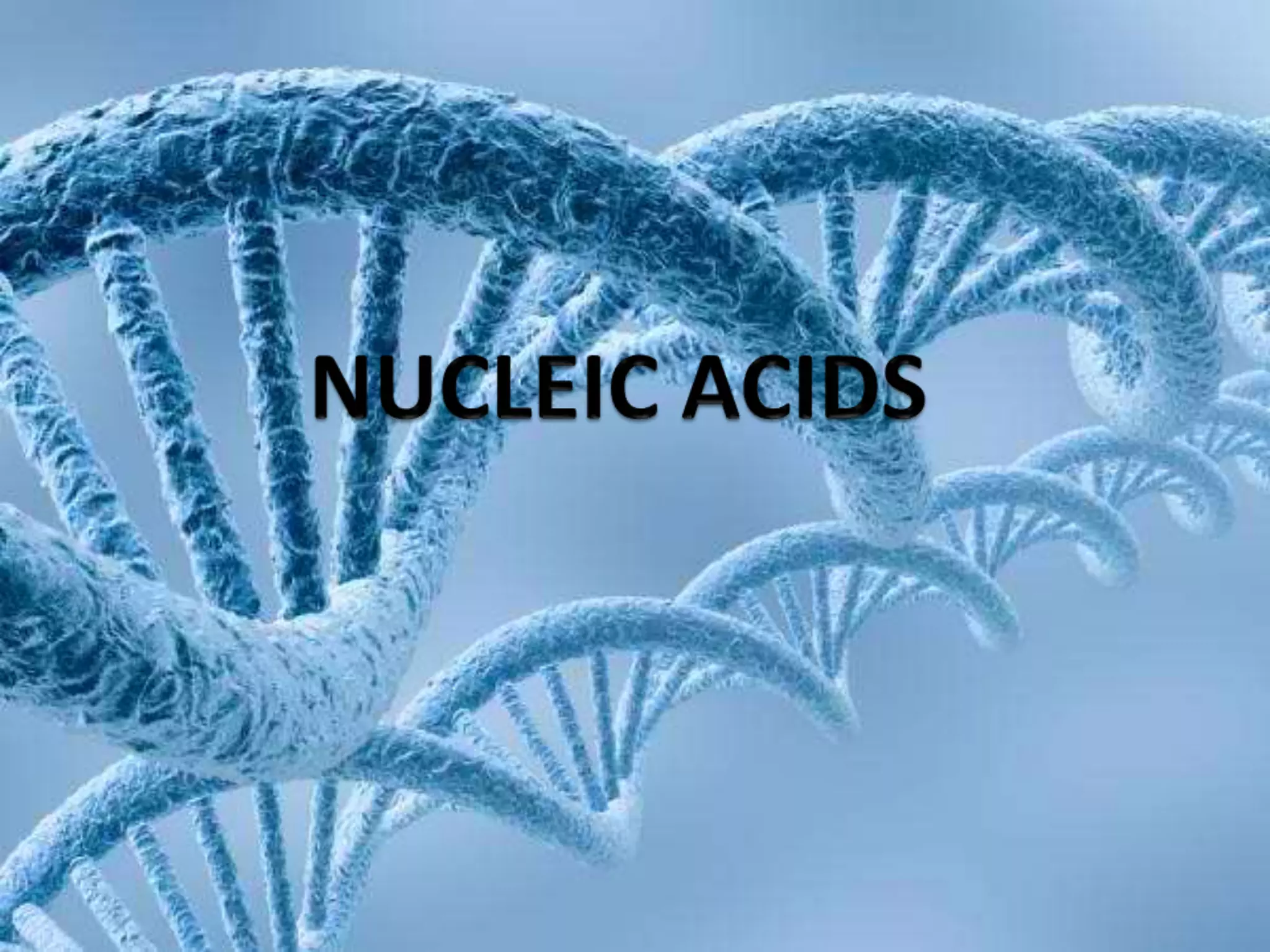 Nucleic acid | PPTX