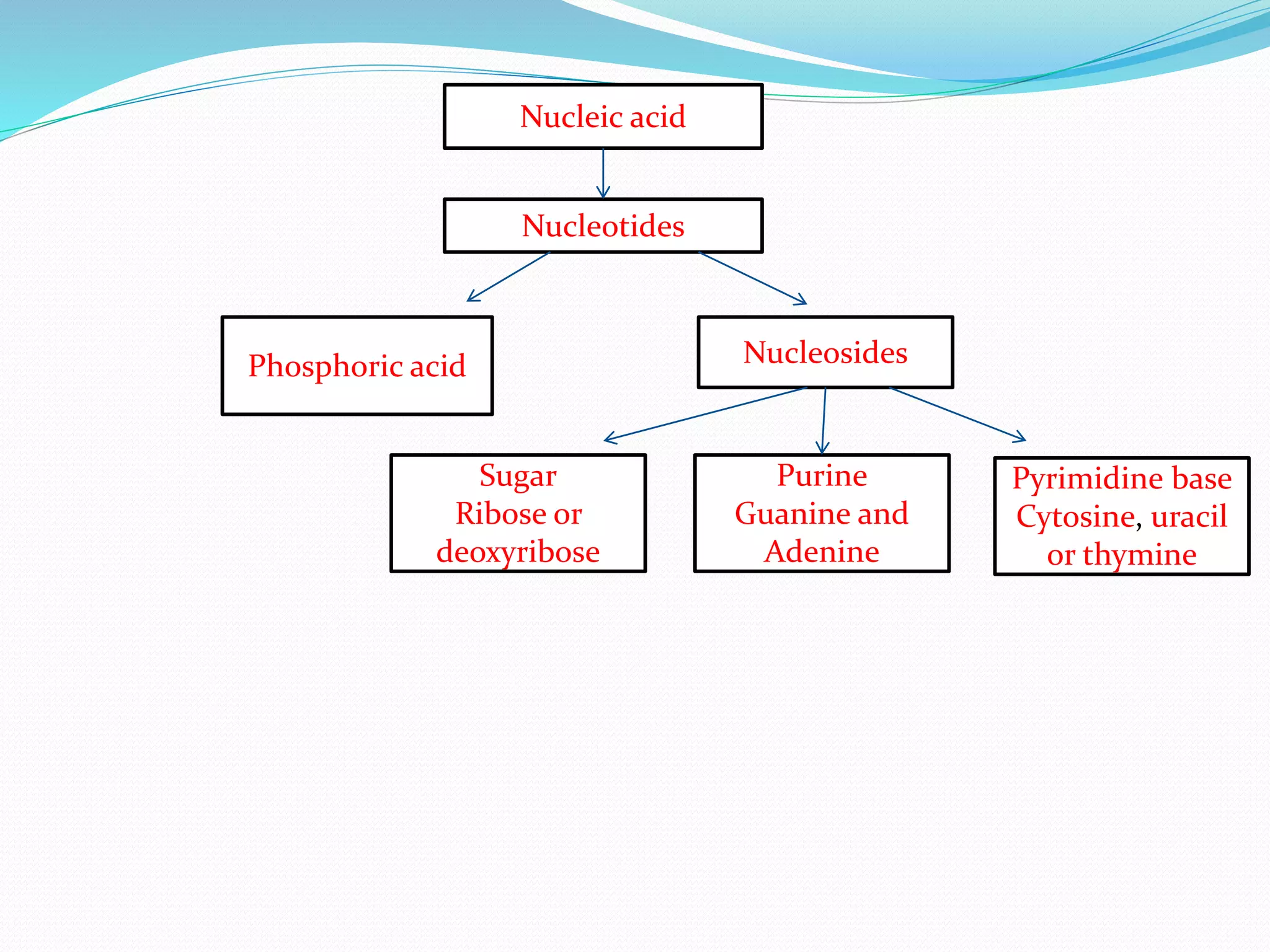 Nucleic acid | PPTX