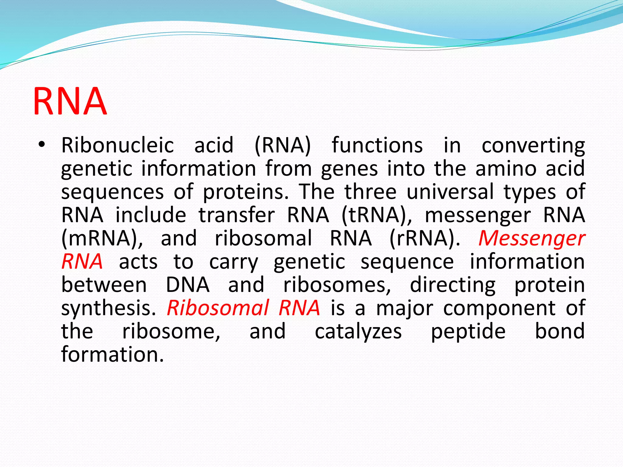 Nucleic acid | PPTX