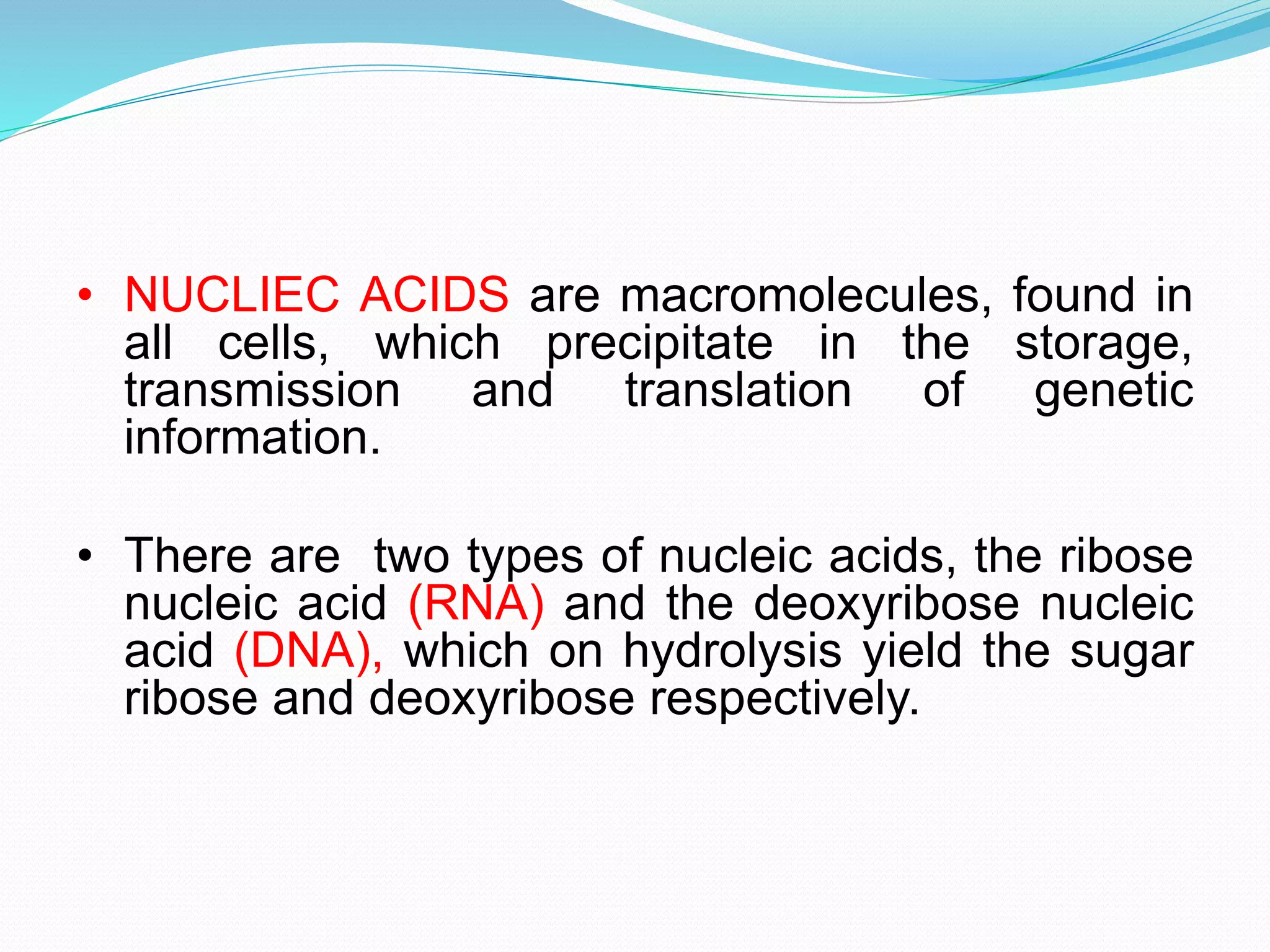 Nucleic acid | PPTX