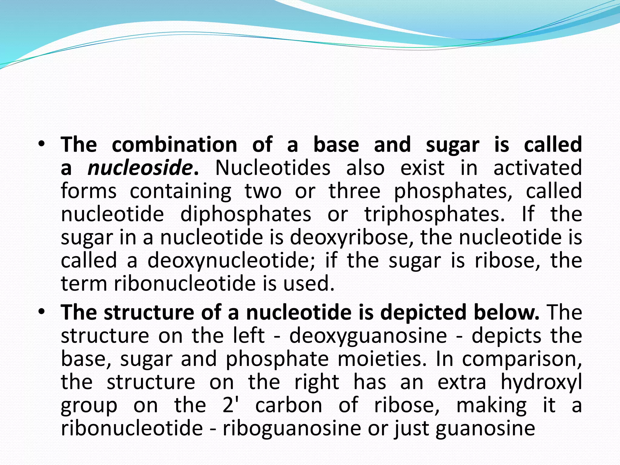 Nucleic acid | PPTX