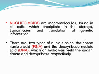 nucleic-acid-150306061338-conversion-gate01 (1).pptx