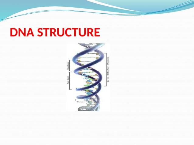 nucleic-acid-150306061338-conversion-gate01 (1).pptx