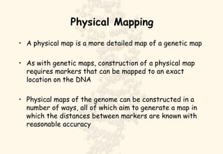 Nucleic Acid Hybridisation & Gene Mapping | PPT