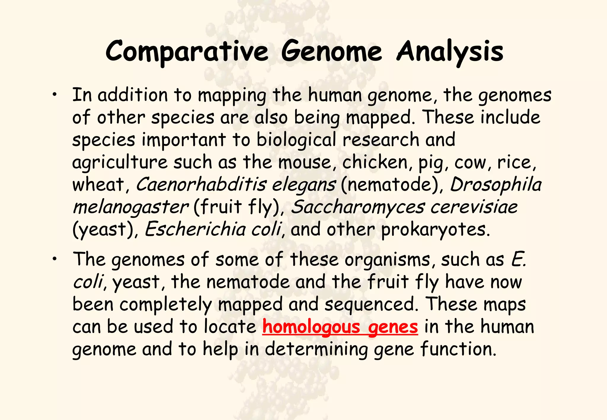 Nucleic Acid Hybridisation & Gene Mapping | PPT