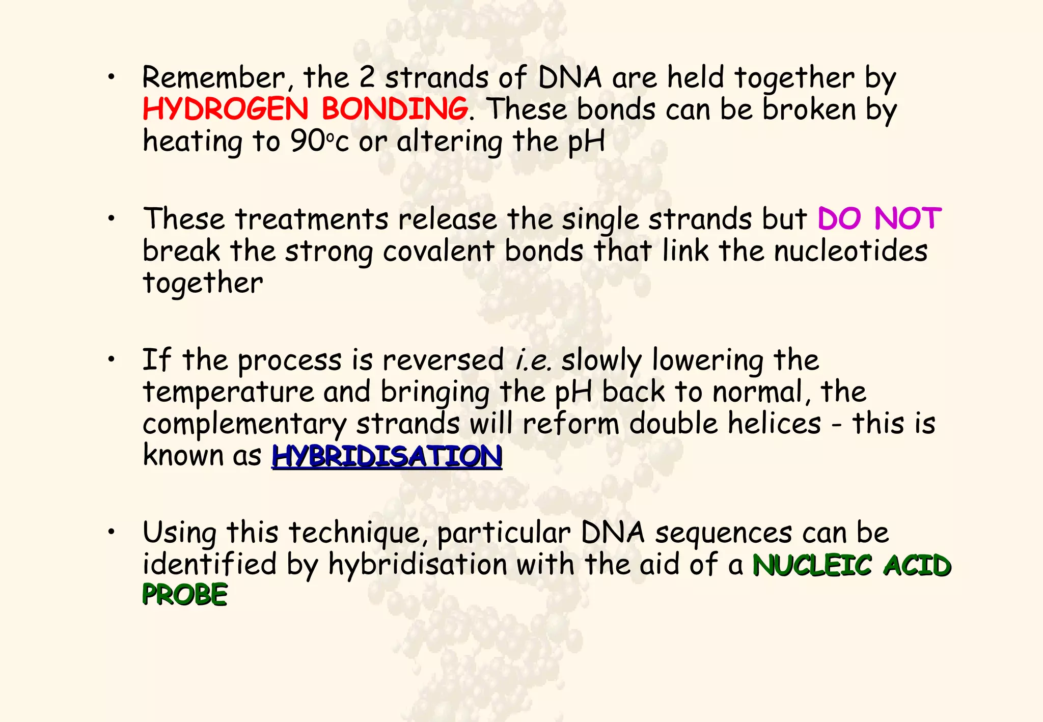 Nucleic Acid Hybridisation & Gene Mapping | PPT