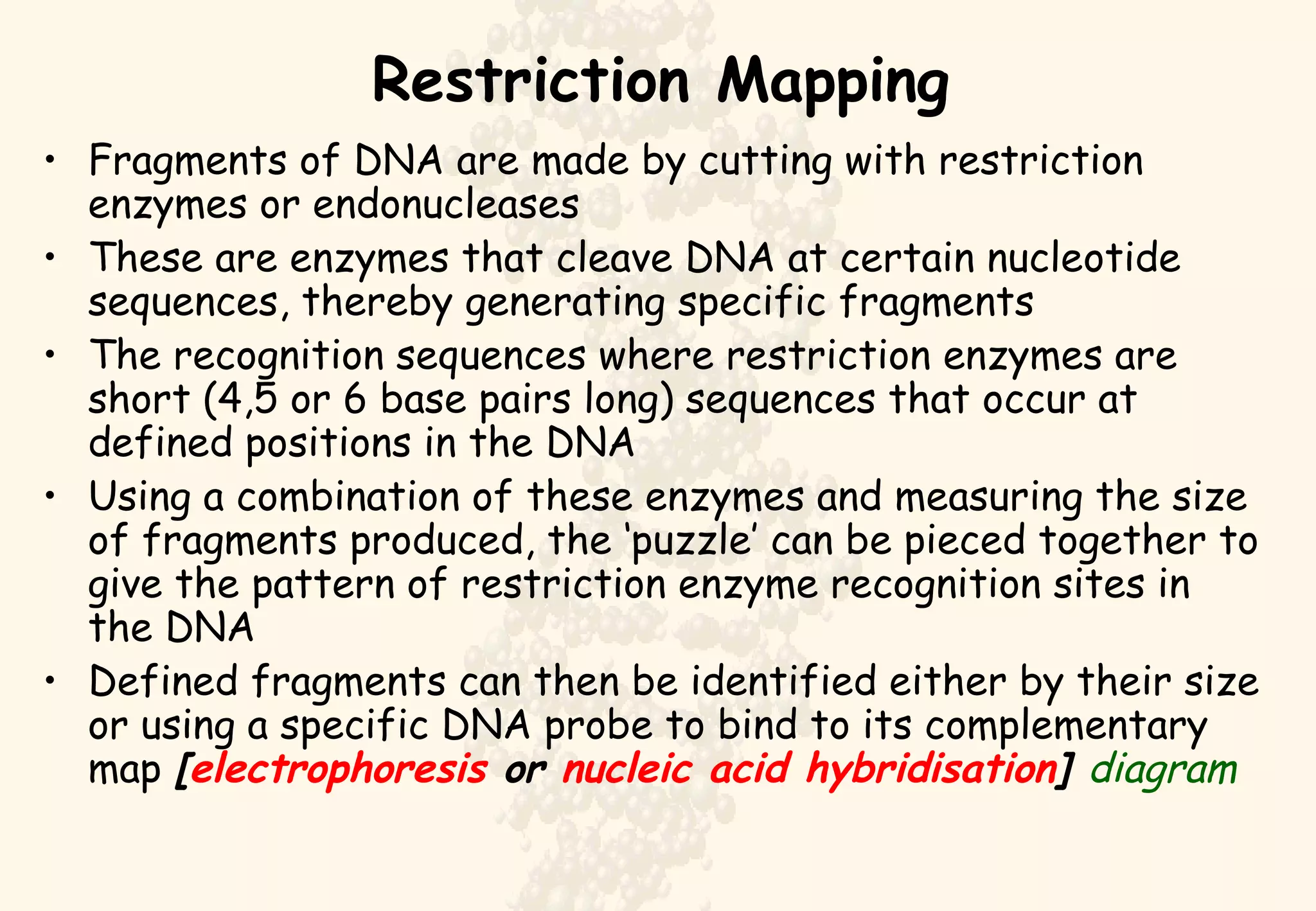 Nucleic Acid Hybridisation & Gene Mapping | PPT