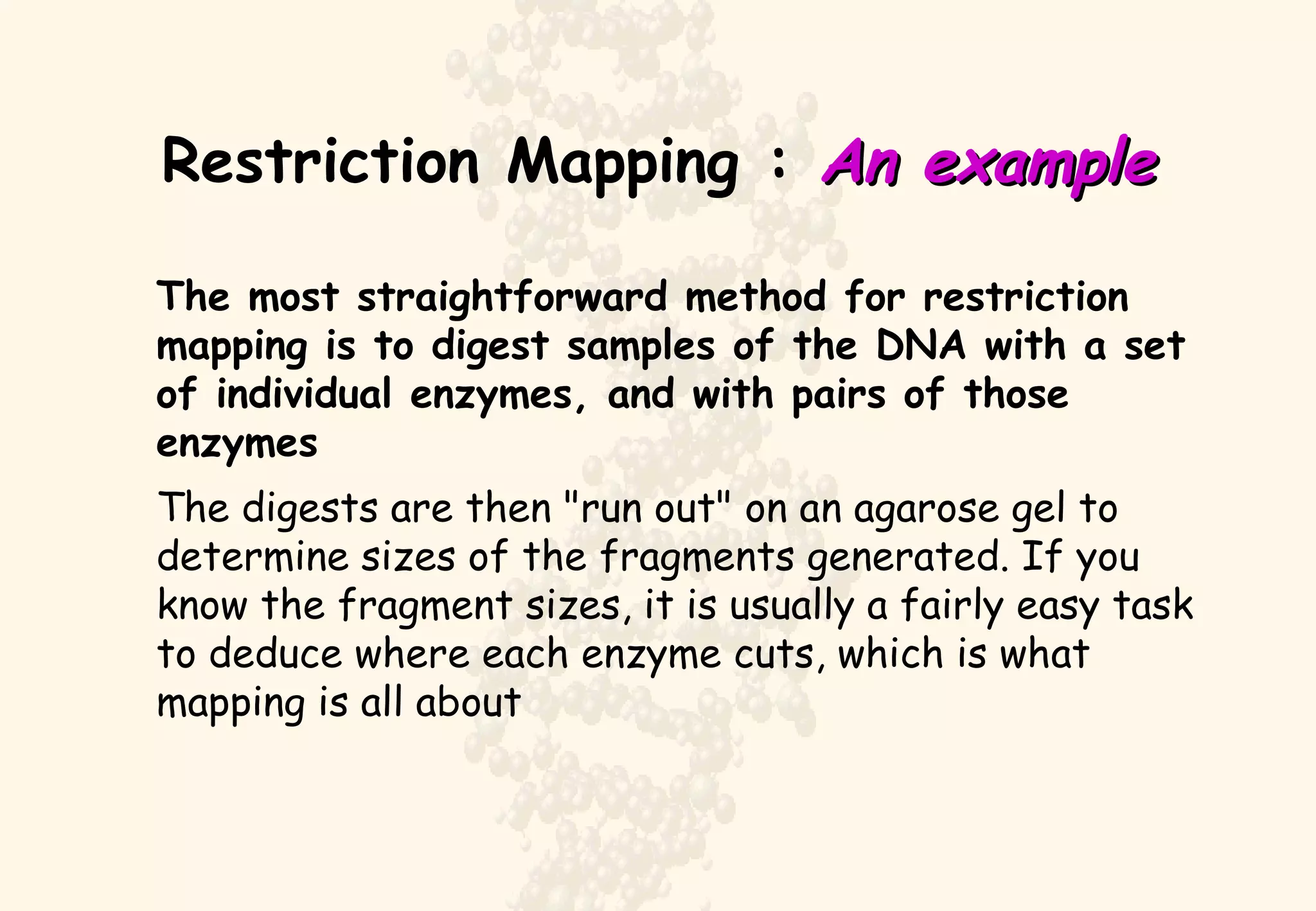 Nucleic Acid Hybridisation & Gene Mapping | PPT