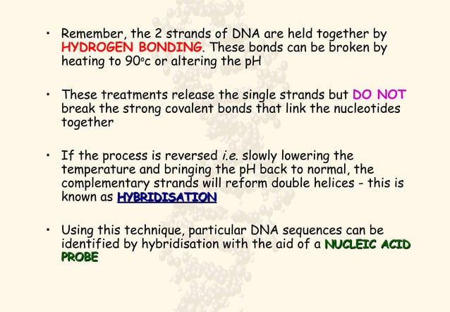 Nucleic Acid Hybridisation & Gene Mapping | PPT