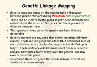 Nucleic Acid Hybridisation & Gene Mapping | PPT