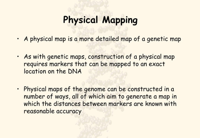 Nucleic Acid Hybridisation & Gene Mapping | PPT