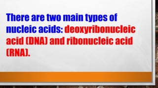 NUCLEIC - ACIDS - (biomolecules 10).pptx