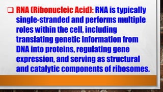 NUCLEIC - ACIDS - (biomolecules 10).pptx
