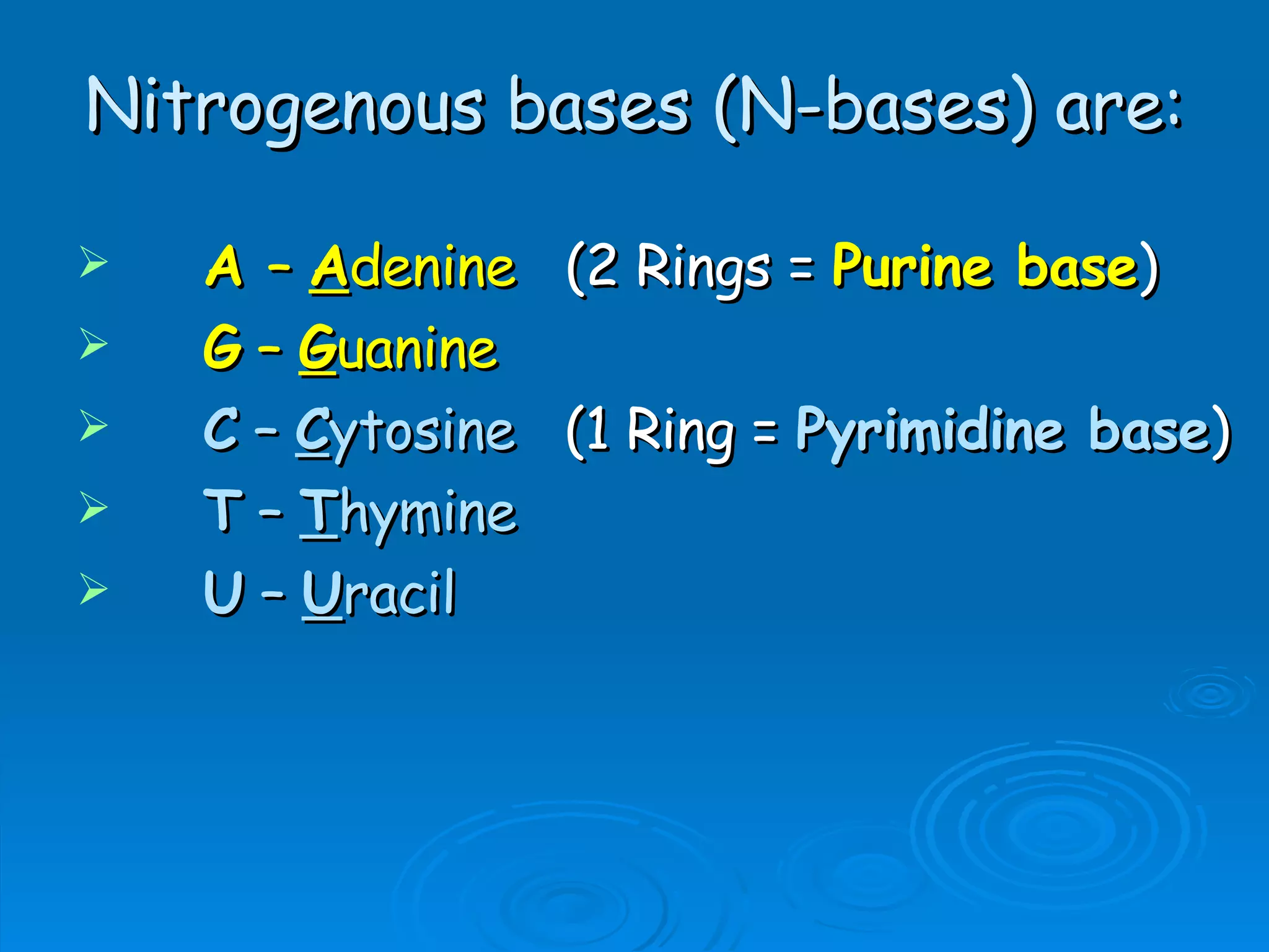 Nucleic Acids | PPT