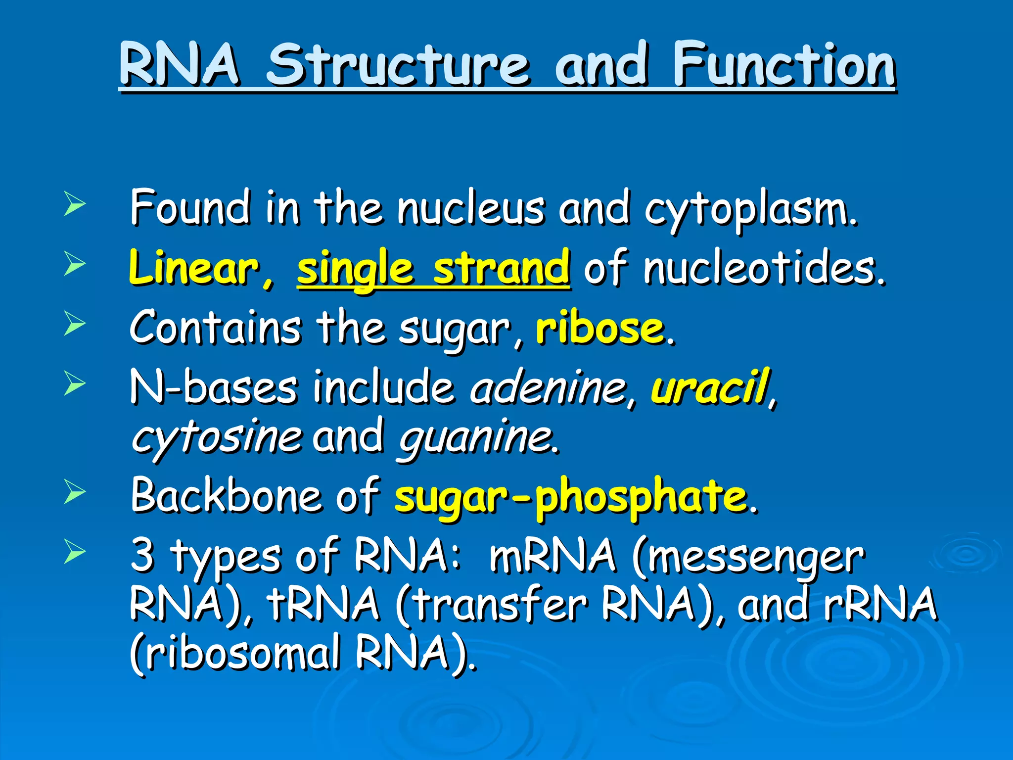Nucleic Acids | PPT
