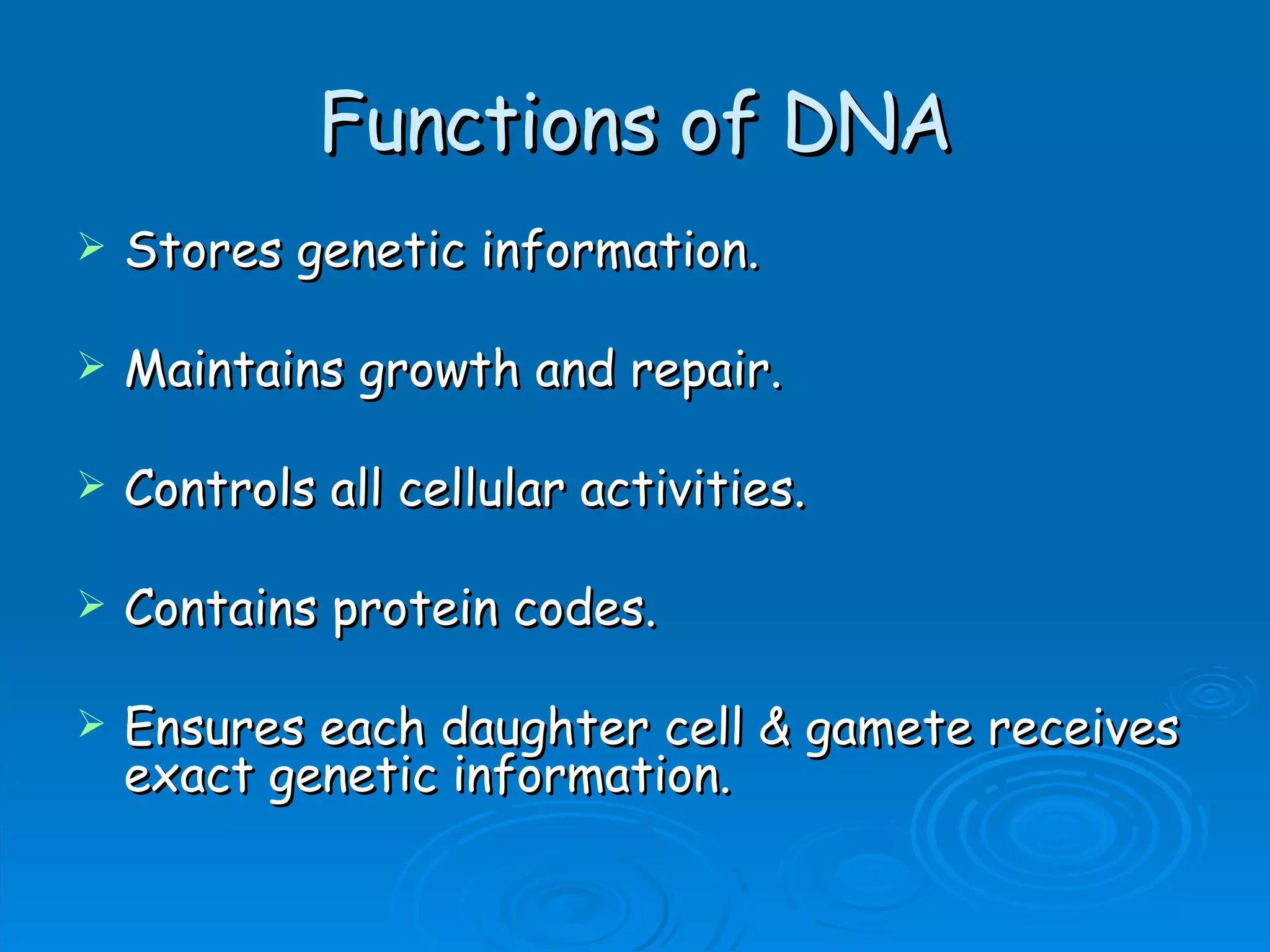 Nucleic Acids | PPT