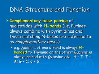 Nucleic Acids | PPT