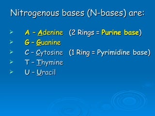 Nucleic Acids | PPT
