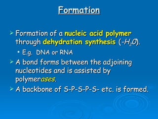 Nucleic Acids | PPT