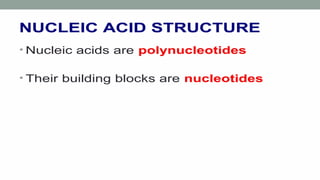 NUCLEIC-ACIDS .pptx