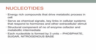 NUCLEIC-ACIDS .pptx