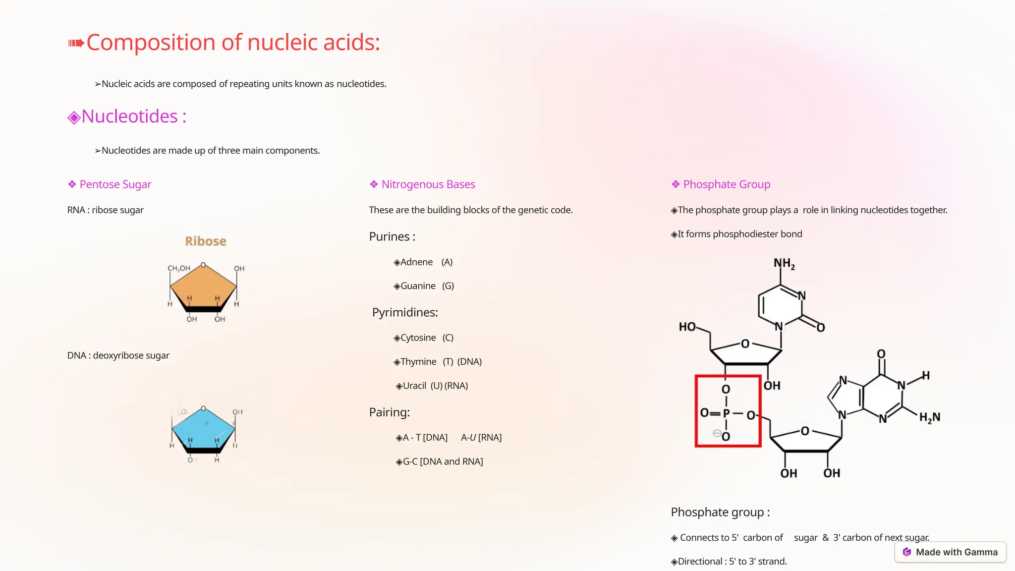 Nucleic-Acids class 12 biomolecules .pptx