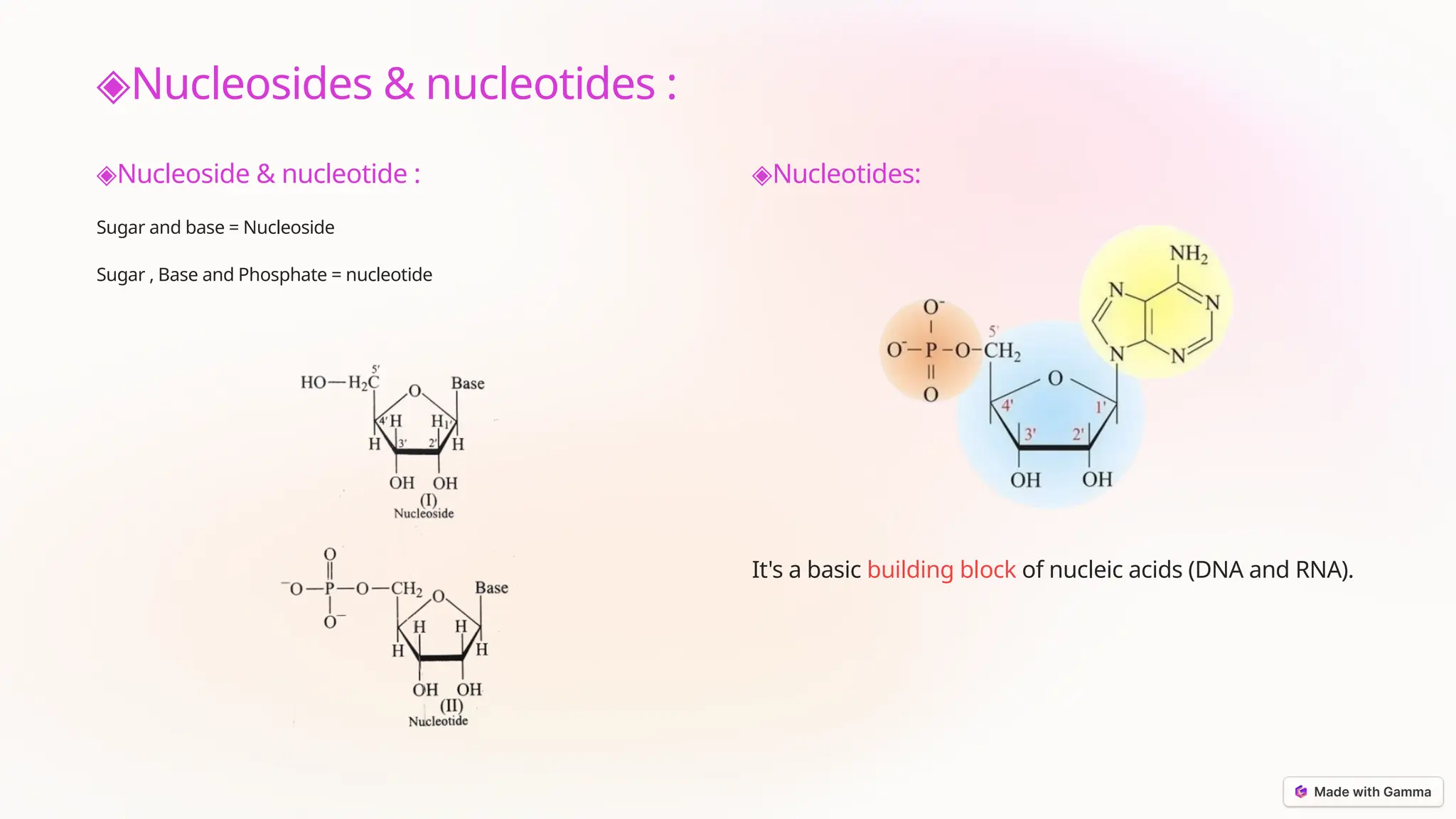 Nucleic-Acids class 12 biomolecules .pptx