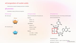 Nucleic-Acids class 12 biomolecules .pptx
