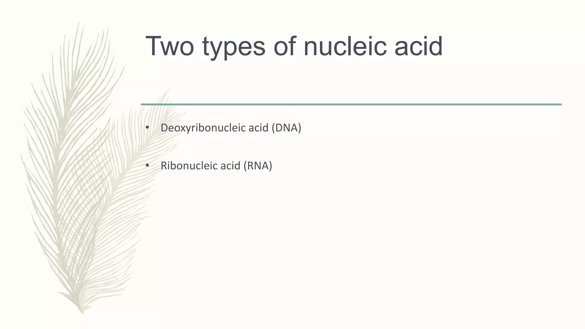 Nucleic acid | PPTX | Biological Sciences | Science