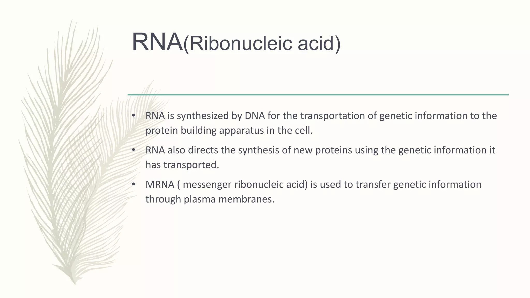 Nucleic acid | PPTX | Biological Sciences | Science