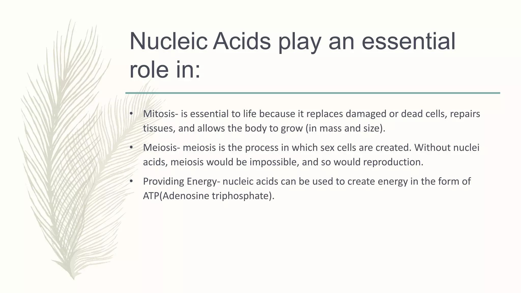 Nucleic acid | PPTX | Biological Sciences | Science