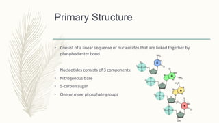 Nucleic acid | PPTX | Biological Sciences | Science
