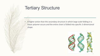 Nucleic acid | PPTX | Biological Sciences | Science