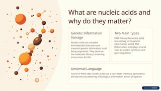 Nucleic-Acids-The-Blueprint-of-Life (1).pptx