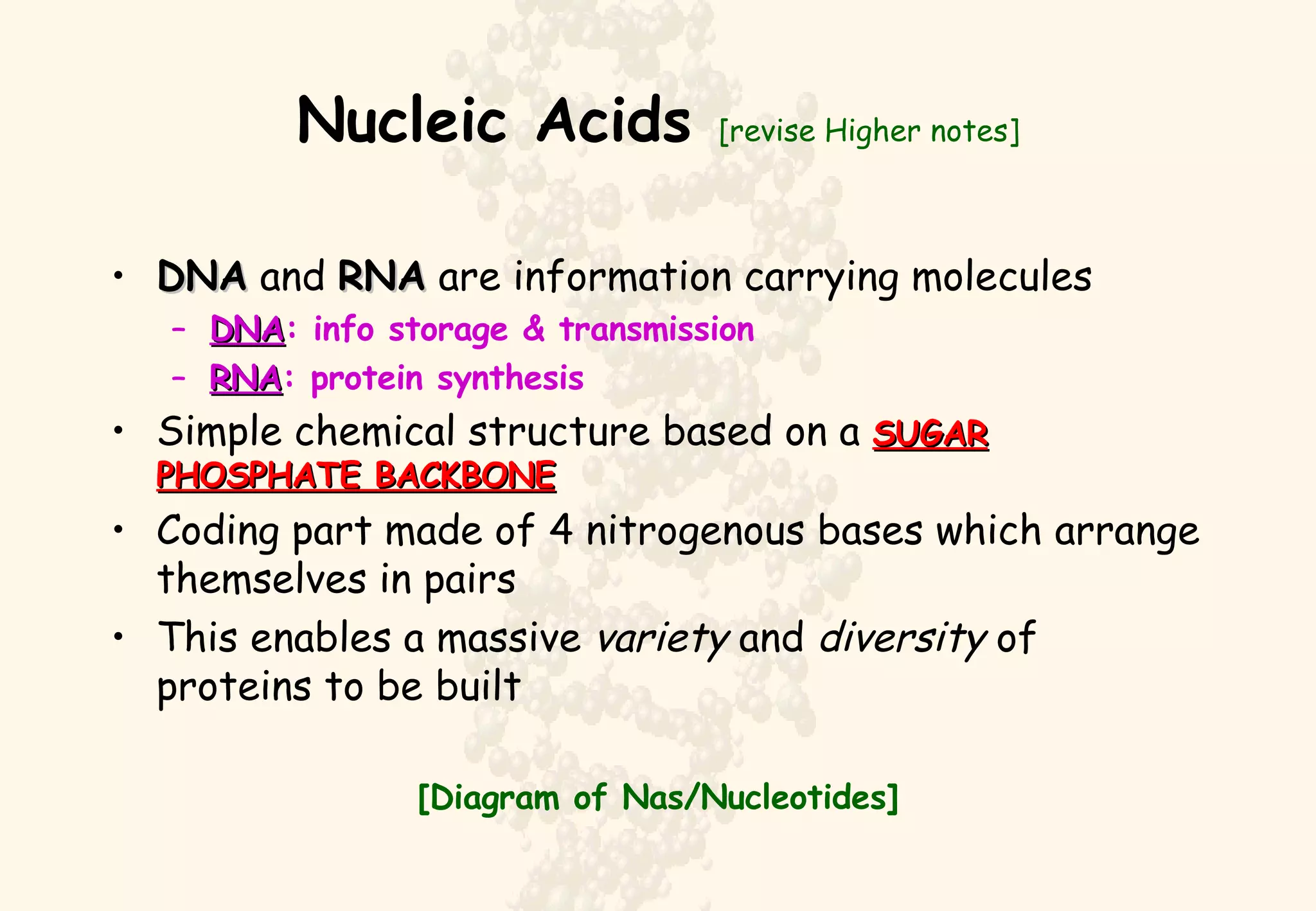 Nucleic Acids | PPT