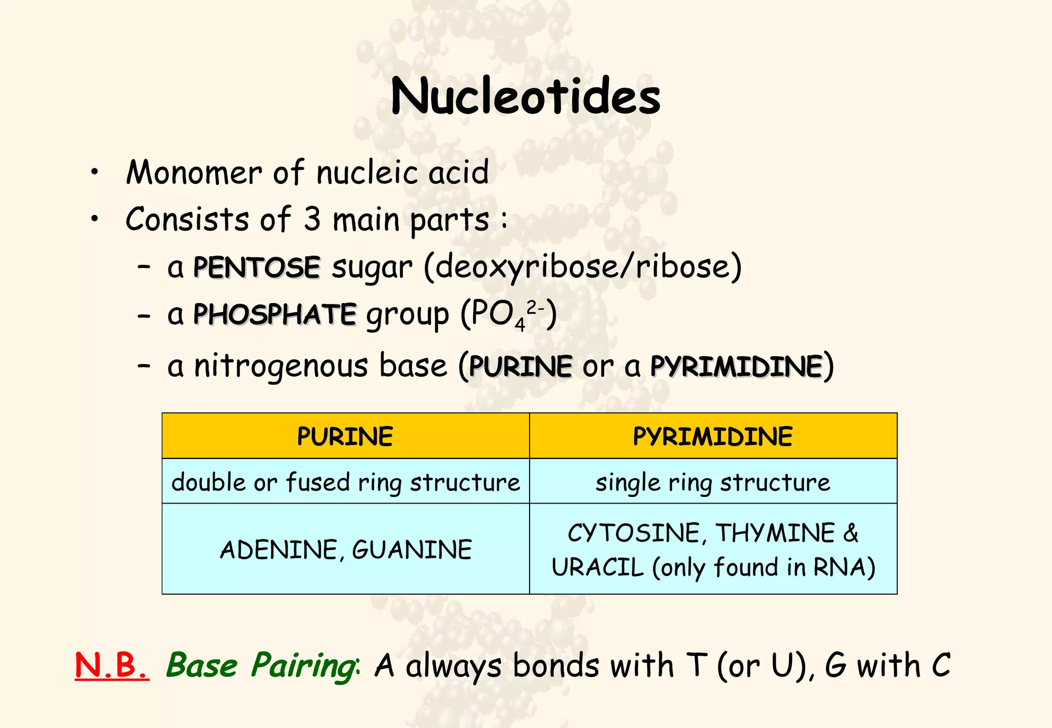 Nucleic Acids | PPT