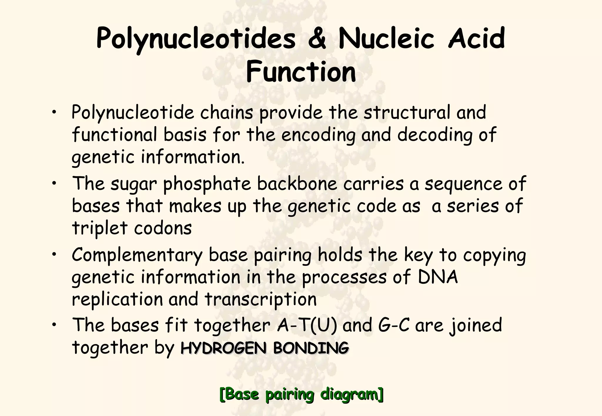 Nucleic Acids | PPT