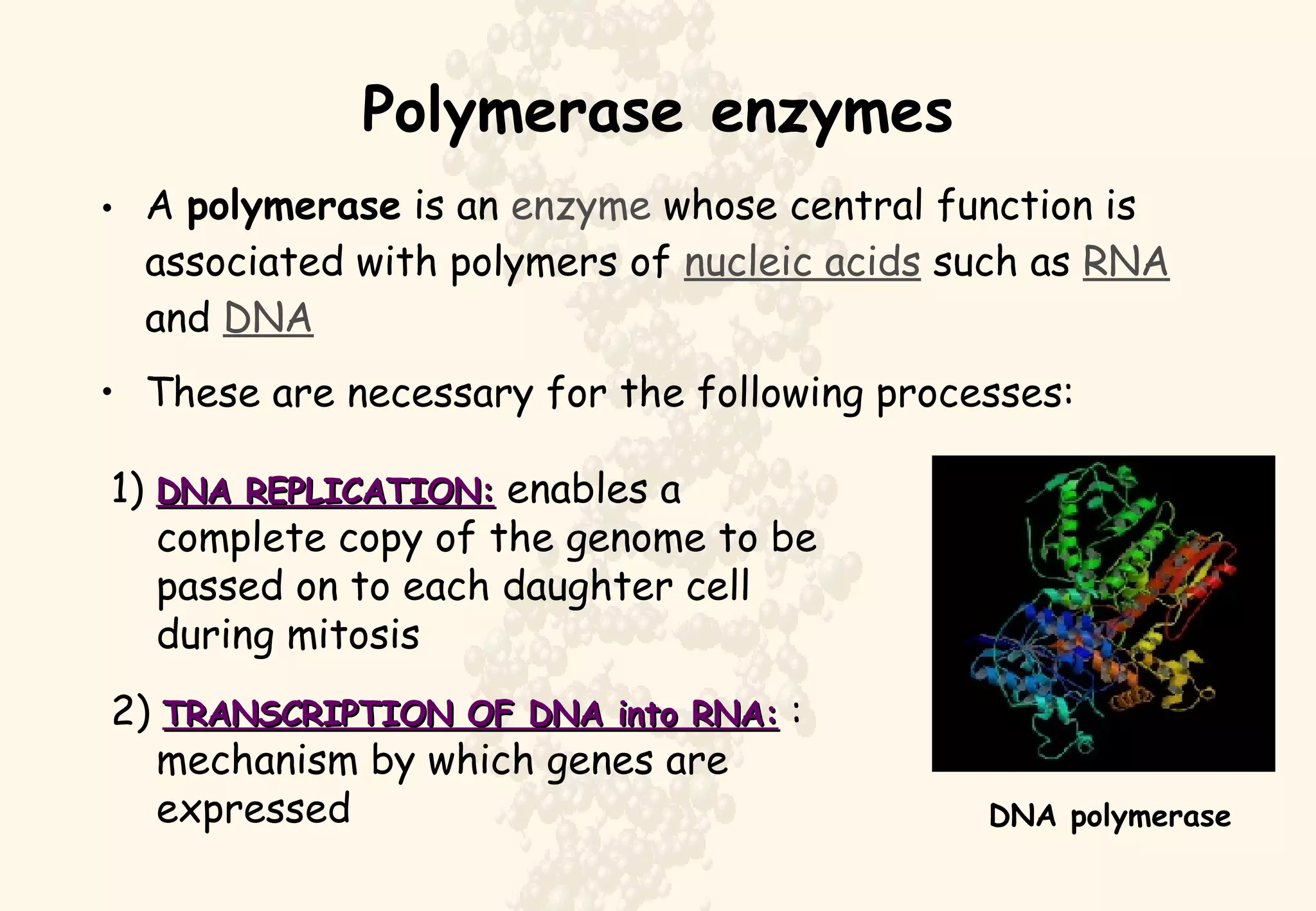 Nucleic Acids | PPT