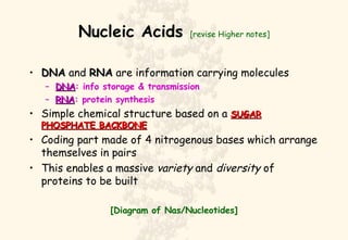 Nucleic Acids | PPT
