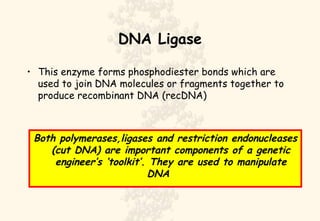 Nucleic Acids | PPT