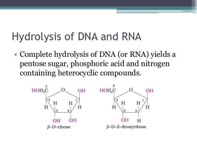 Nucleic acid