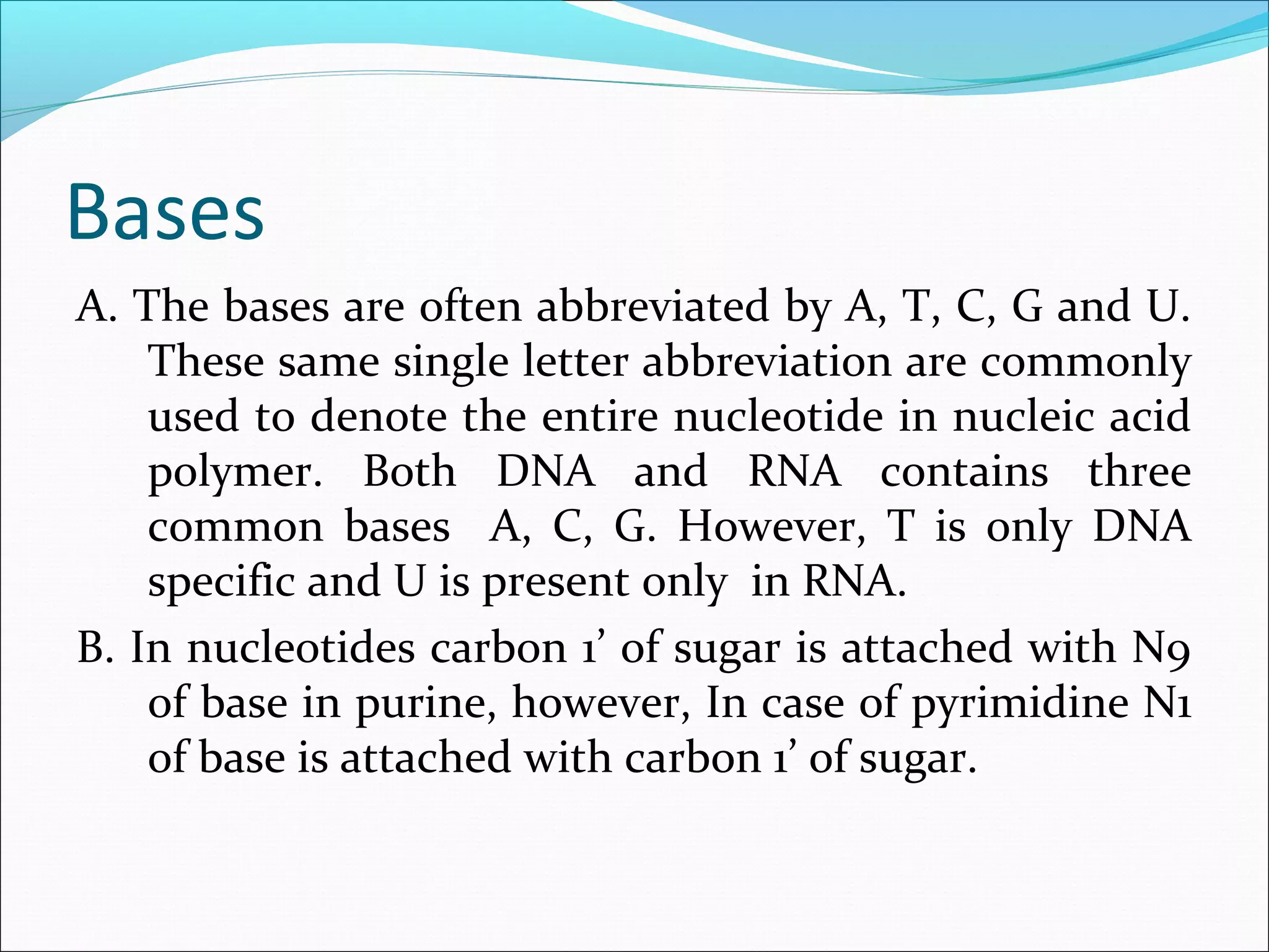Nucleic acid | PPT