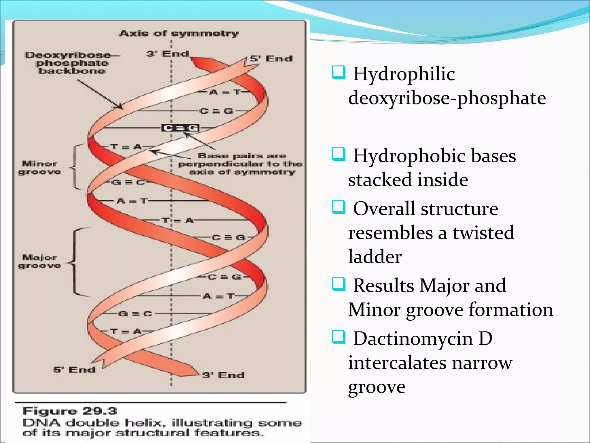 Nucleic acid | PPT