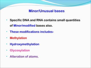 Nucleic acid | PPT