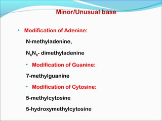 Nucleic acid | PPT